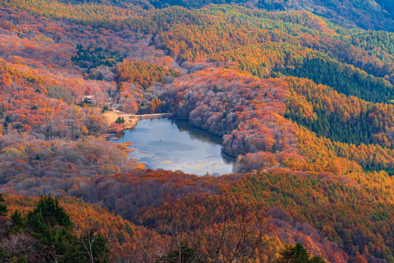 10 Places to See Beautiful Fall Colors in Japan