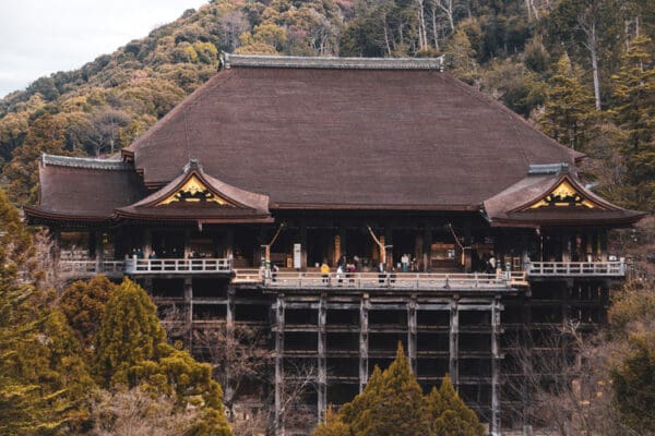 16 Things to Do Alone in Kyoto | Kyoto Solo Trip Guide